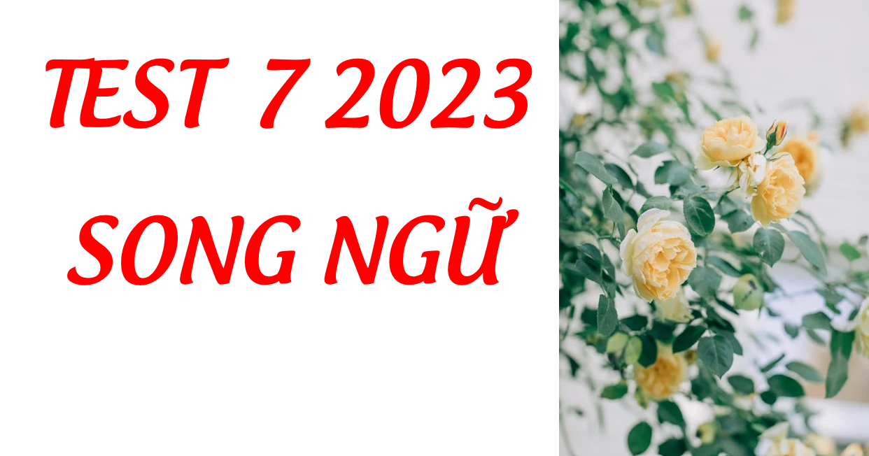 TEST 7 SONG NGỮ PART 7